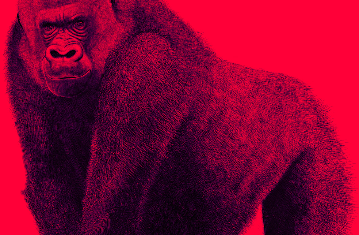 What is information architecture? | Red Ape Media